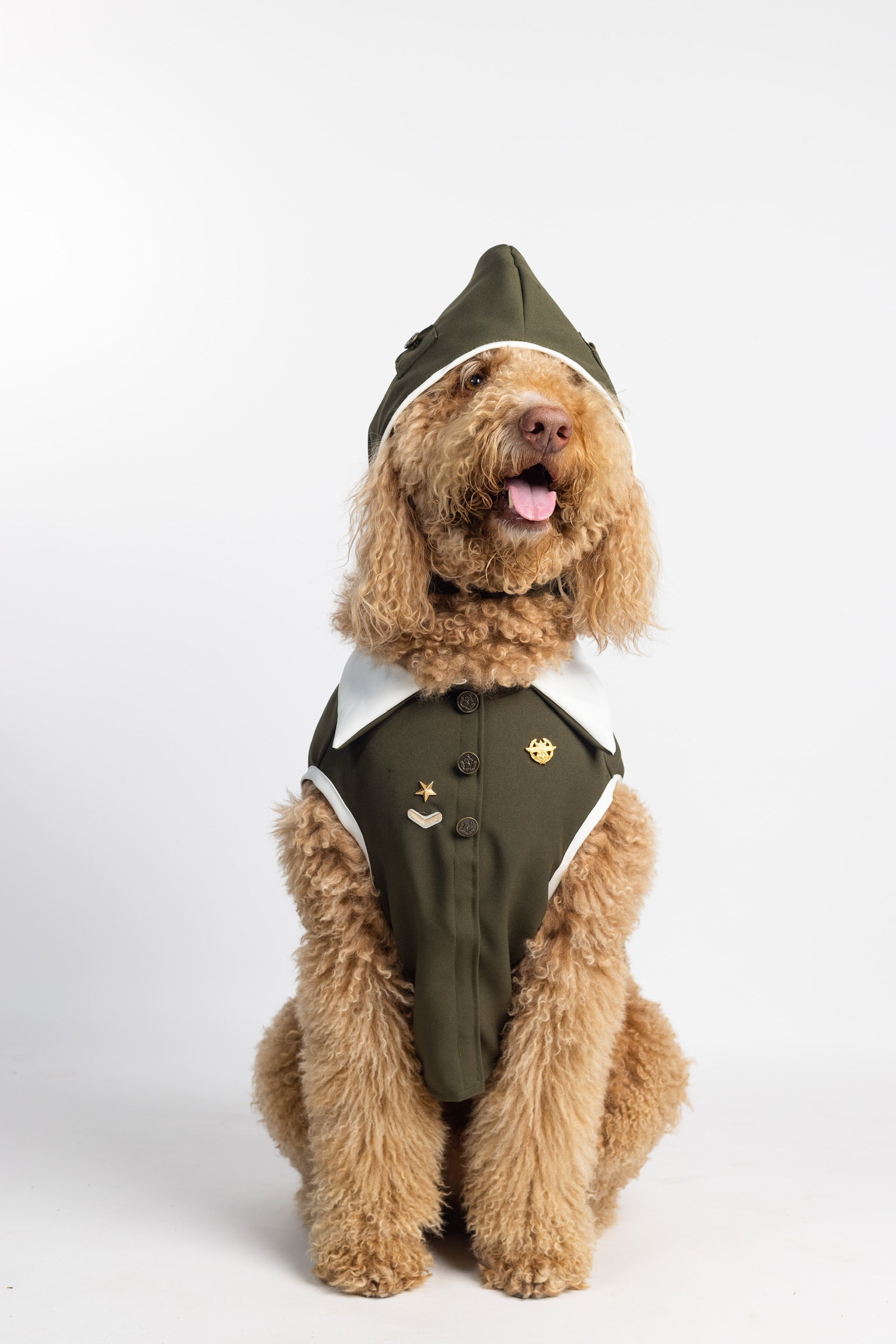 Aviator Dog Costume – enJoy Pet Atelier